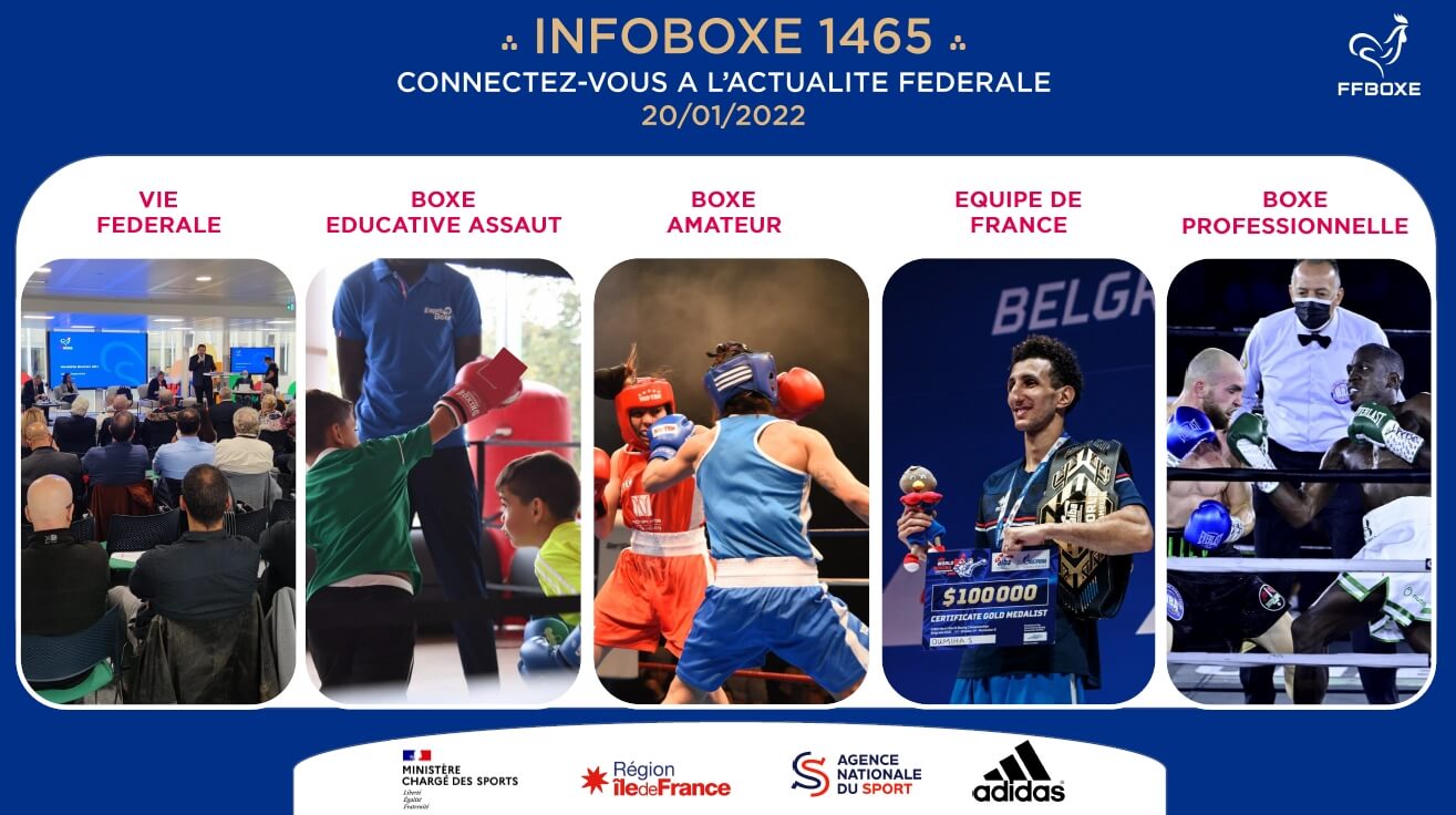 actualité boxe fédérale professionnelle Fédération Française de Boxe