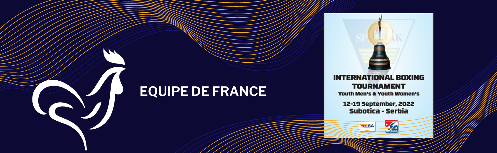 Fédération Française de Boxe