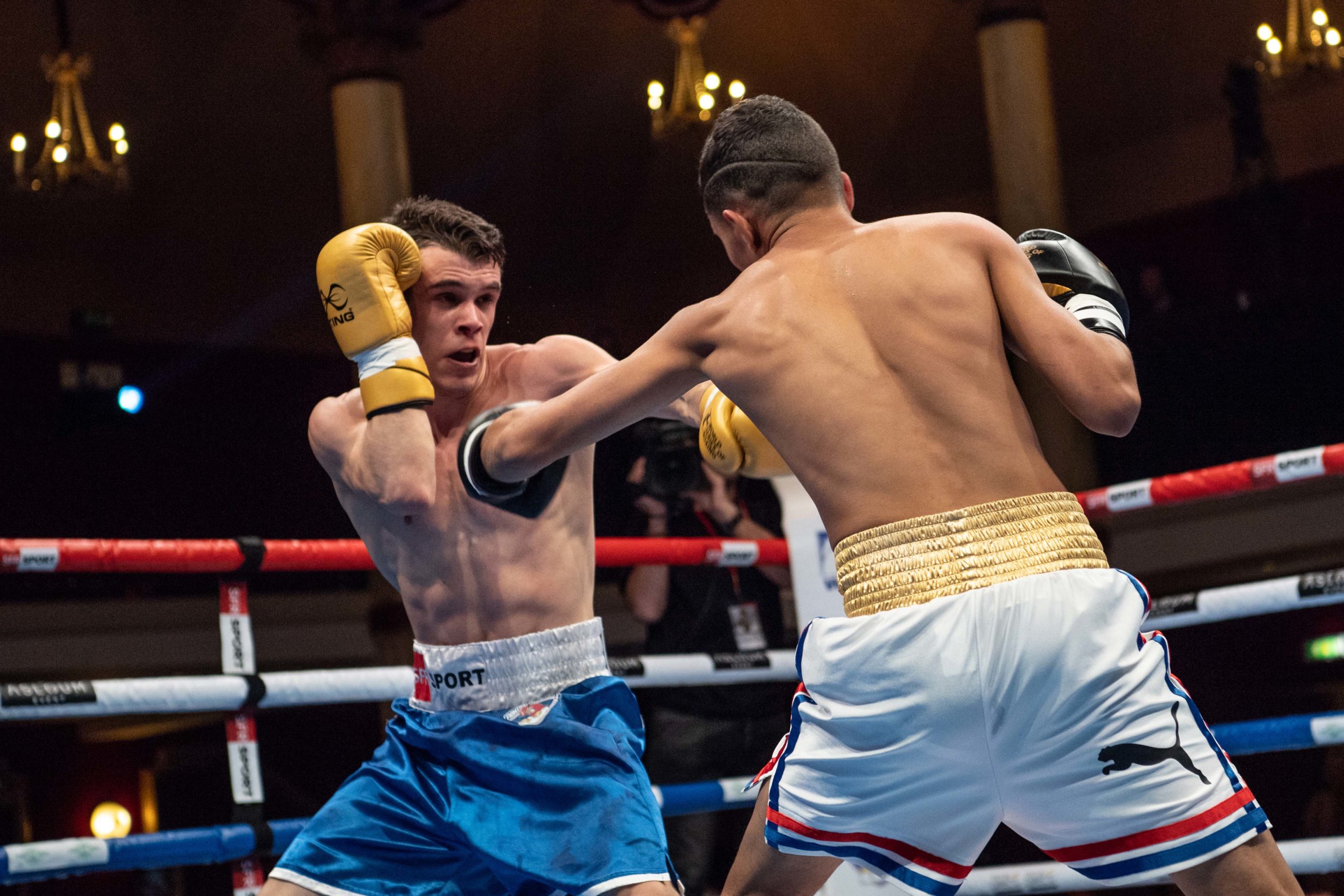 WSB : France-Cuba en photos - Fédération Française de Boxe