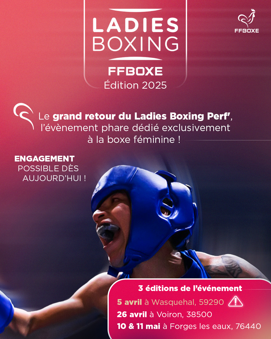 Ladies Boxing Perf' 2025 : La Boxe Féminine toujours plus haute ...