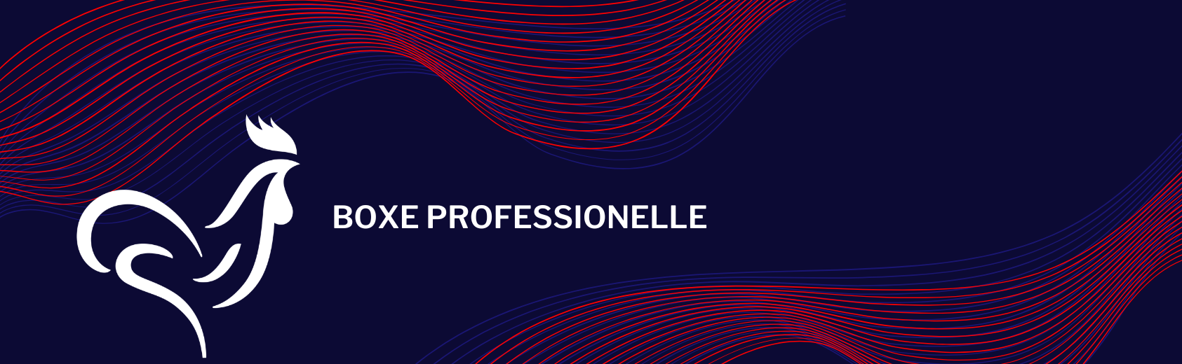 Championnats de France de boxe professionnelle - Fédération Française ...